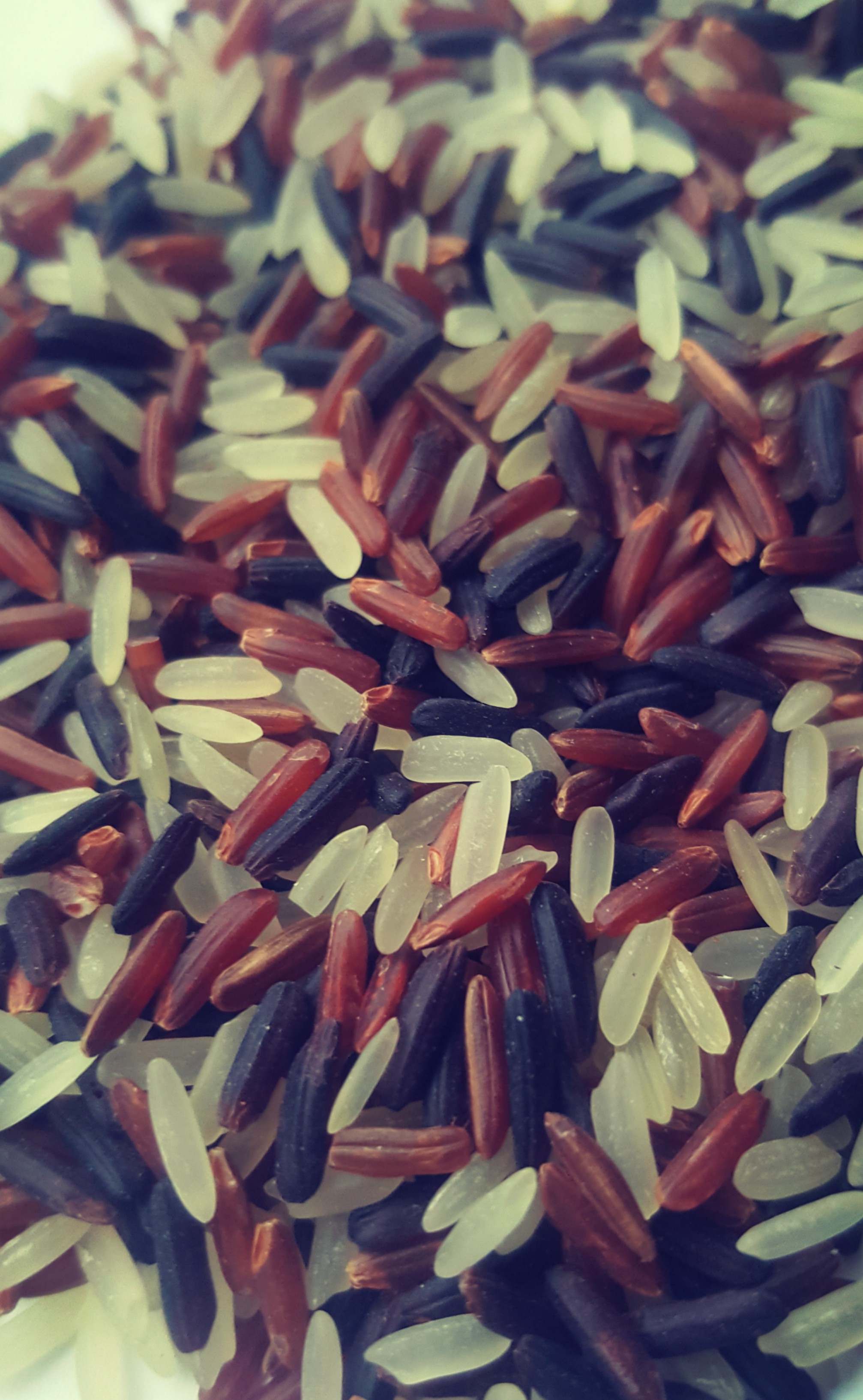 Parboiled, red, black rice mix
